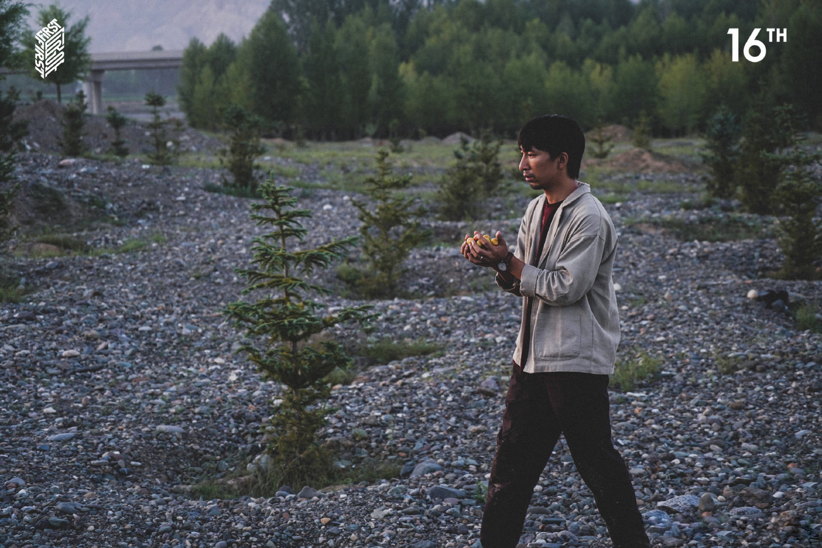 IMG_7826_colorized – KINEFINITY