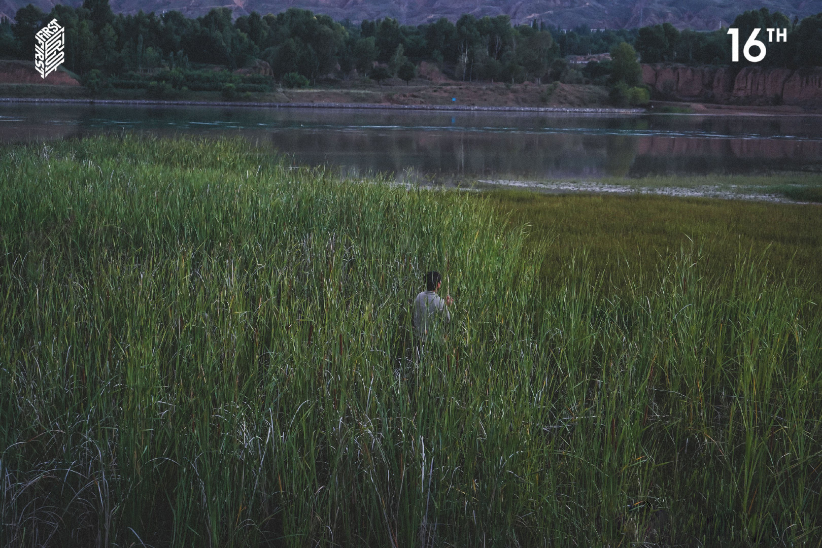 IMG_7827_colorized – KINEFINITY